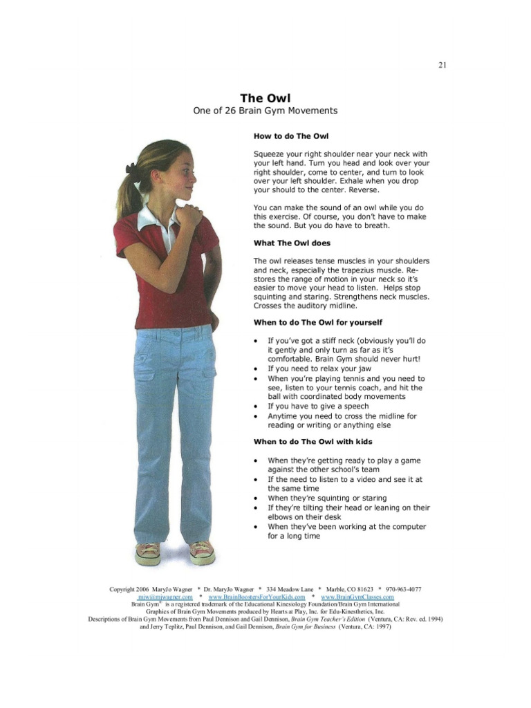 Brain Gym 3 | PDF