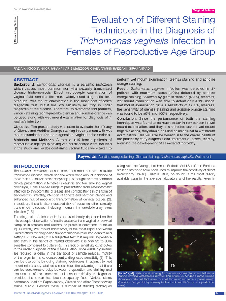 Evaluation of Different Staining Techniques in The Diagnosis of ...