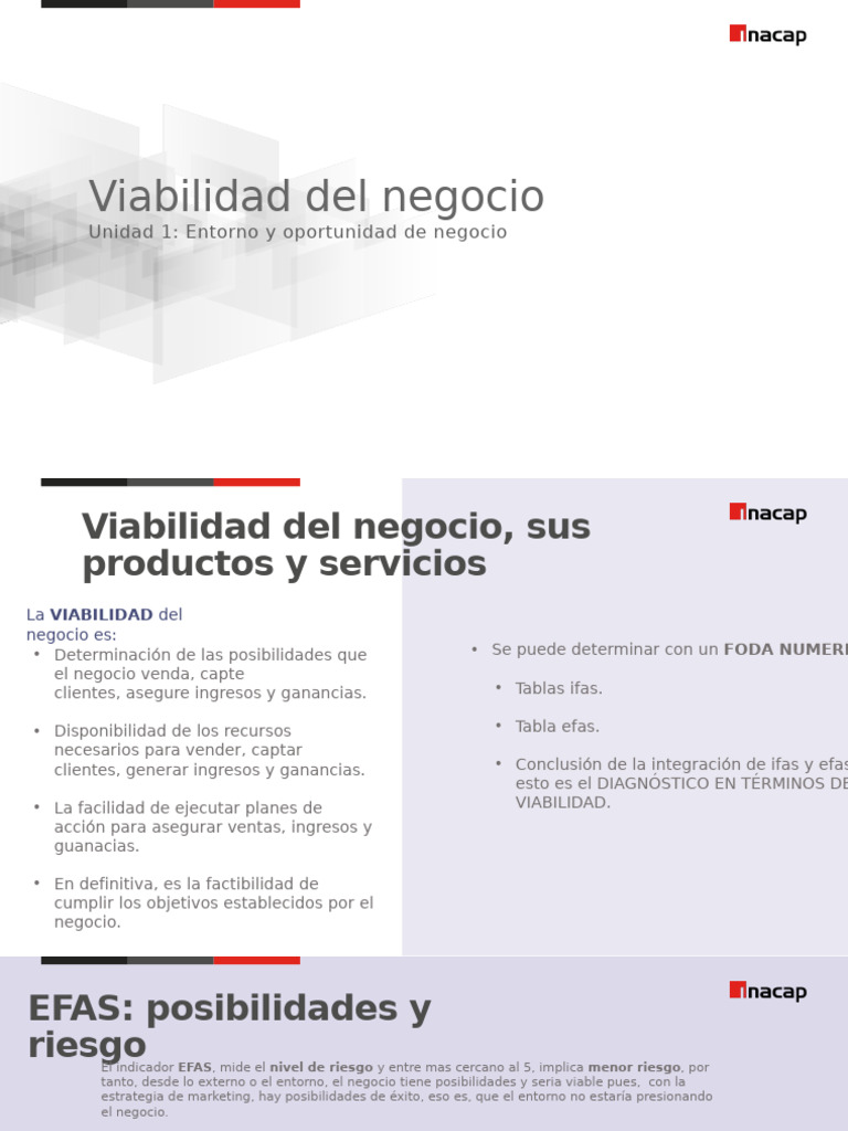 Viabilidad Del Negocio Ifas Efas | PDF | Análisis FODA | Marketing