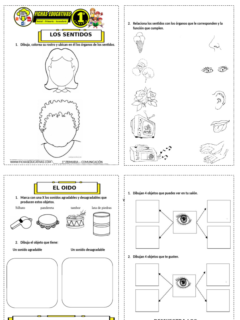 2 Ficha - Los Sentidos Oido y Vista - 1P - Horiz. | PDF