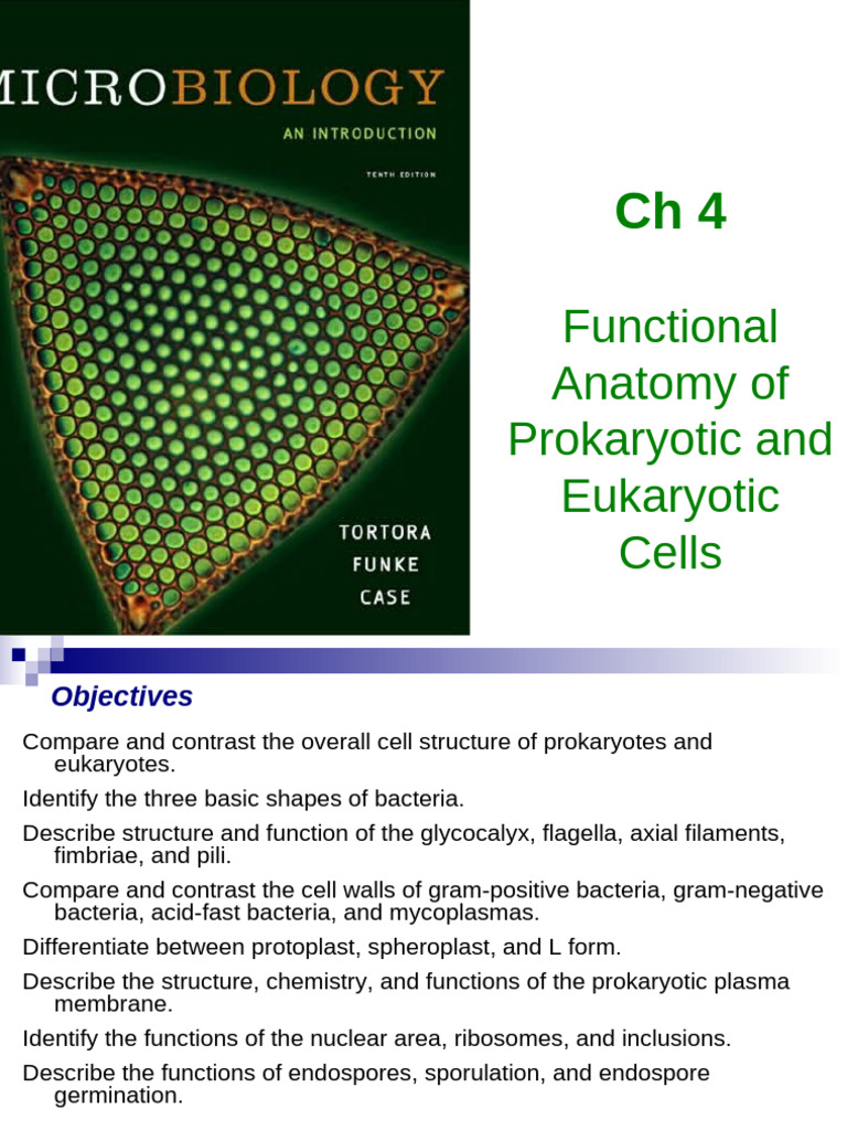 Chap - 4 - Functional Anatomy of Prokaryotic and Eukaryotic Cells | PDF ...