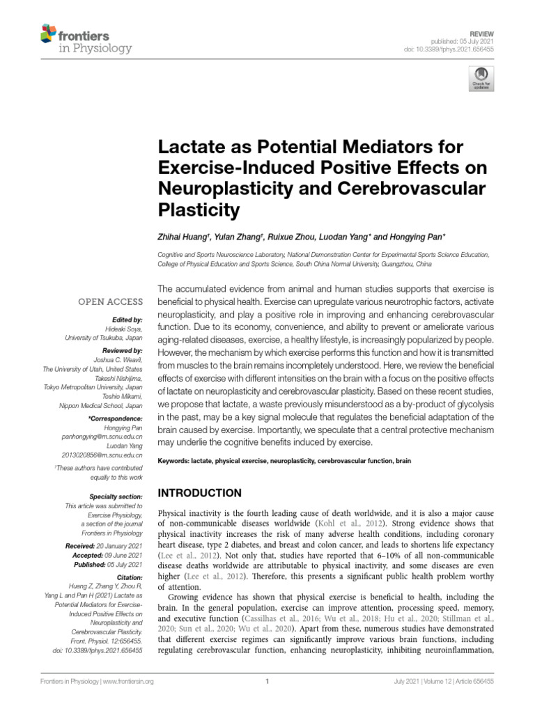 Neuroplasticidad Con Uso Del Acido Lactico | PDF | Neuroplasticity | Dementia