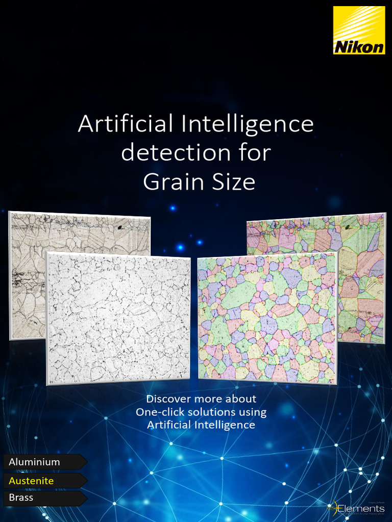 AI Solutions for Grain Detection | PDF | Artificial Intelligence ...