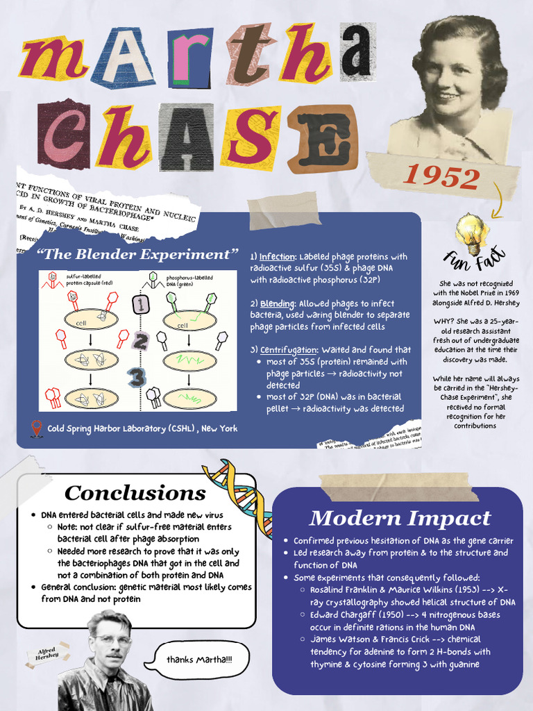 Biography Genre Poster in Blue Bold Illustrative Style PDF | PDF | Life ...