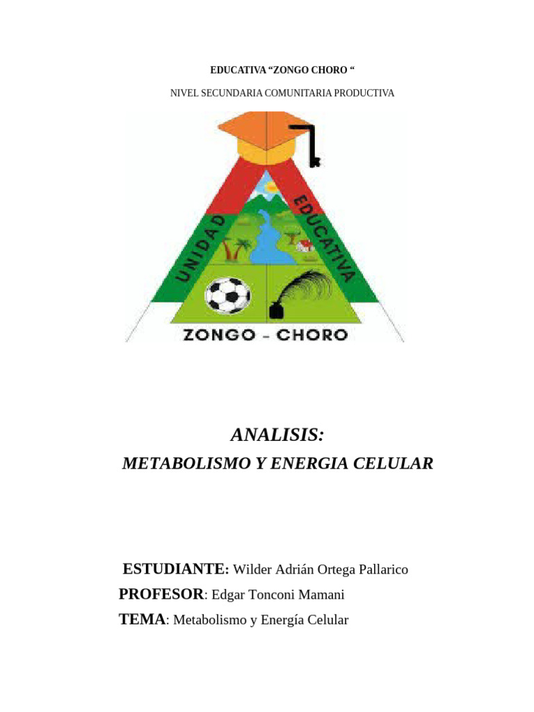 METABOLISMO Y ENERGIA CELULAR ..ANALISIS | PDF | Trifosfato de adenosina | Respiración celular