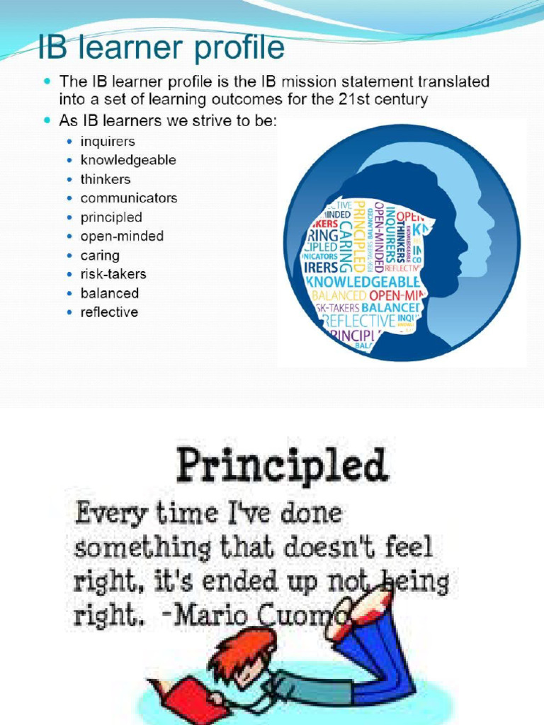 Ib Profile and Chart Evaluation Criteria Plus | PDF