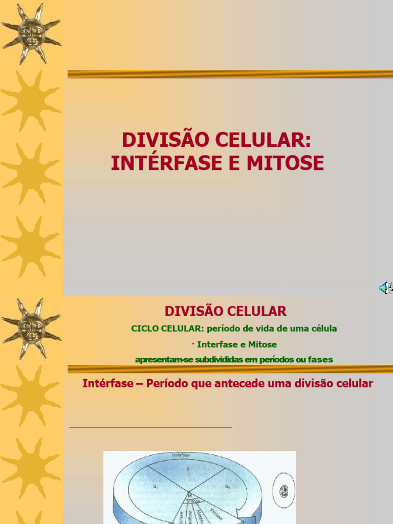 Citologia II - Intérfase e Mitose | PDF | Mitose | Meiose