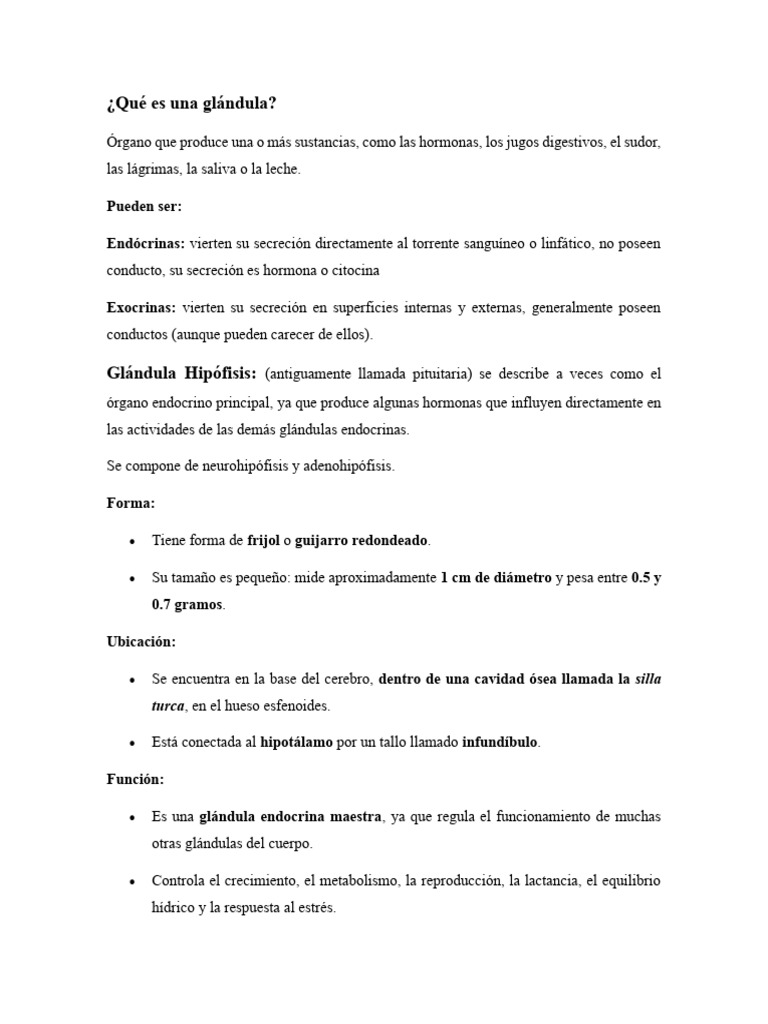 Glándulas | PDF | Glándula pituitaria | Páncreas