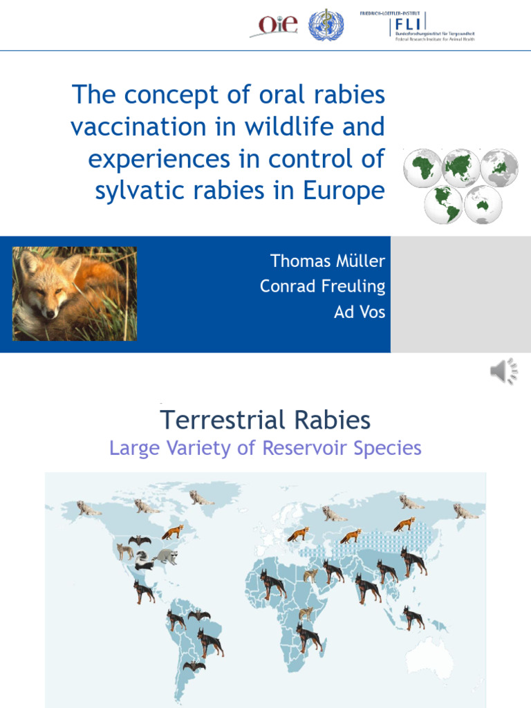 Thomas Muller - Concept of Orvs in Wildlife | PDF | Vaccines | Rabies
