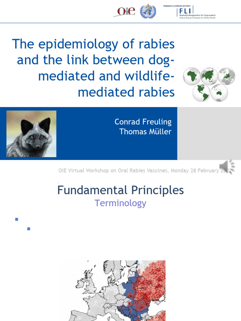Conrad-Freuling Epidemiology Urban Vs Sylvatic 2 | PDF | Rabies | Infection