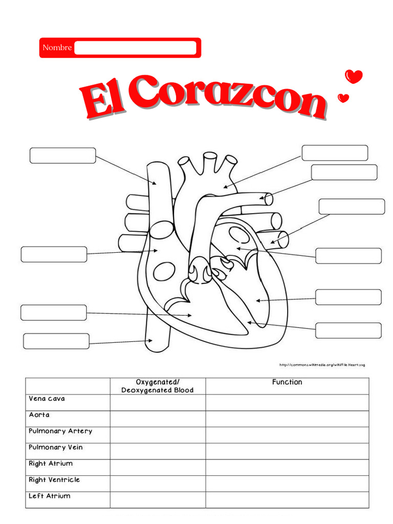 Taller El Corazon 2 | PDF