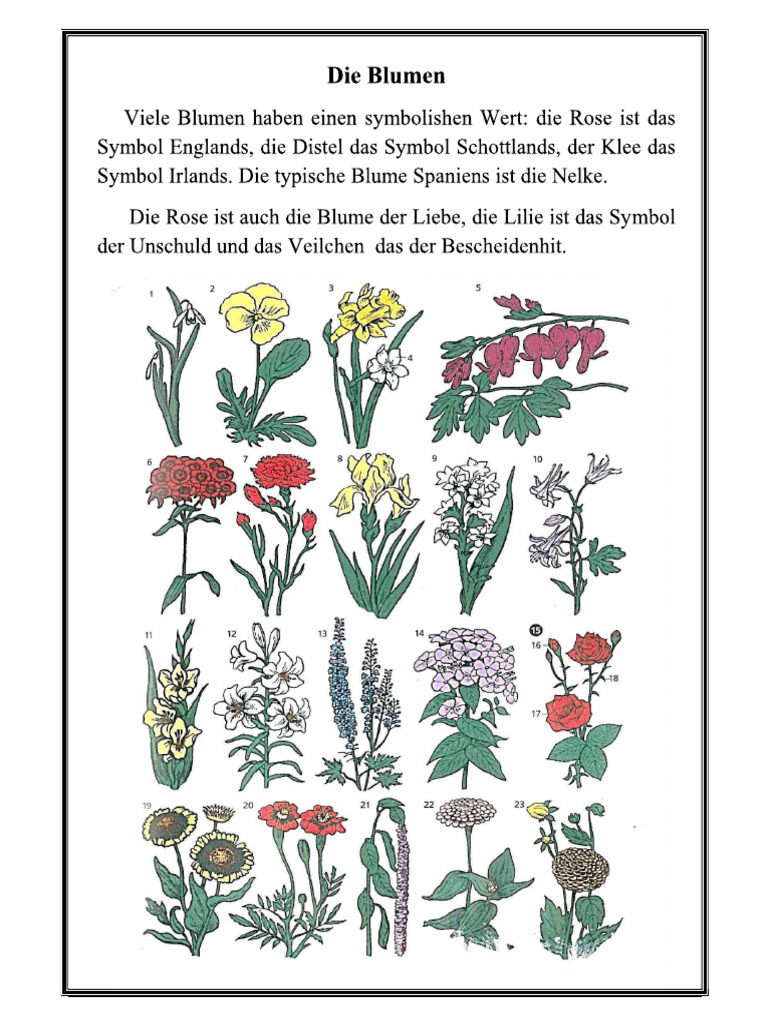 Die Blumen | PDF