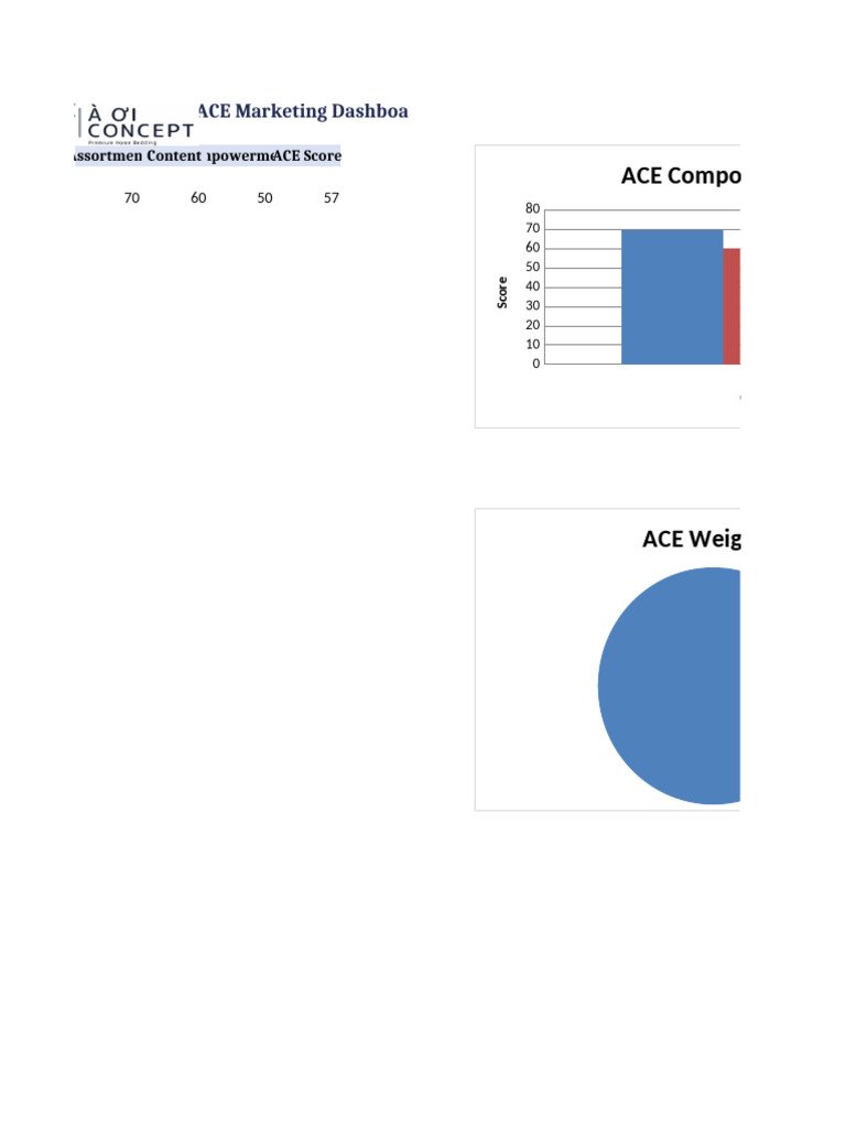 ACE Marketing Dashboard Overview | PDF