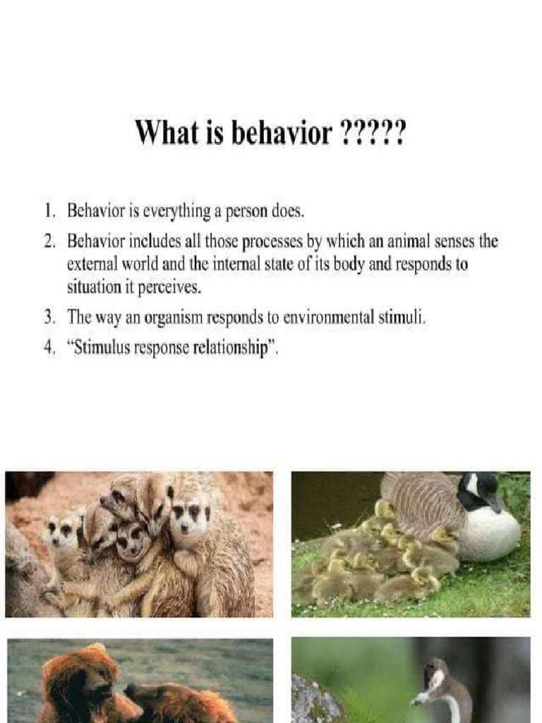 Animal-Behavior | PDF