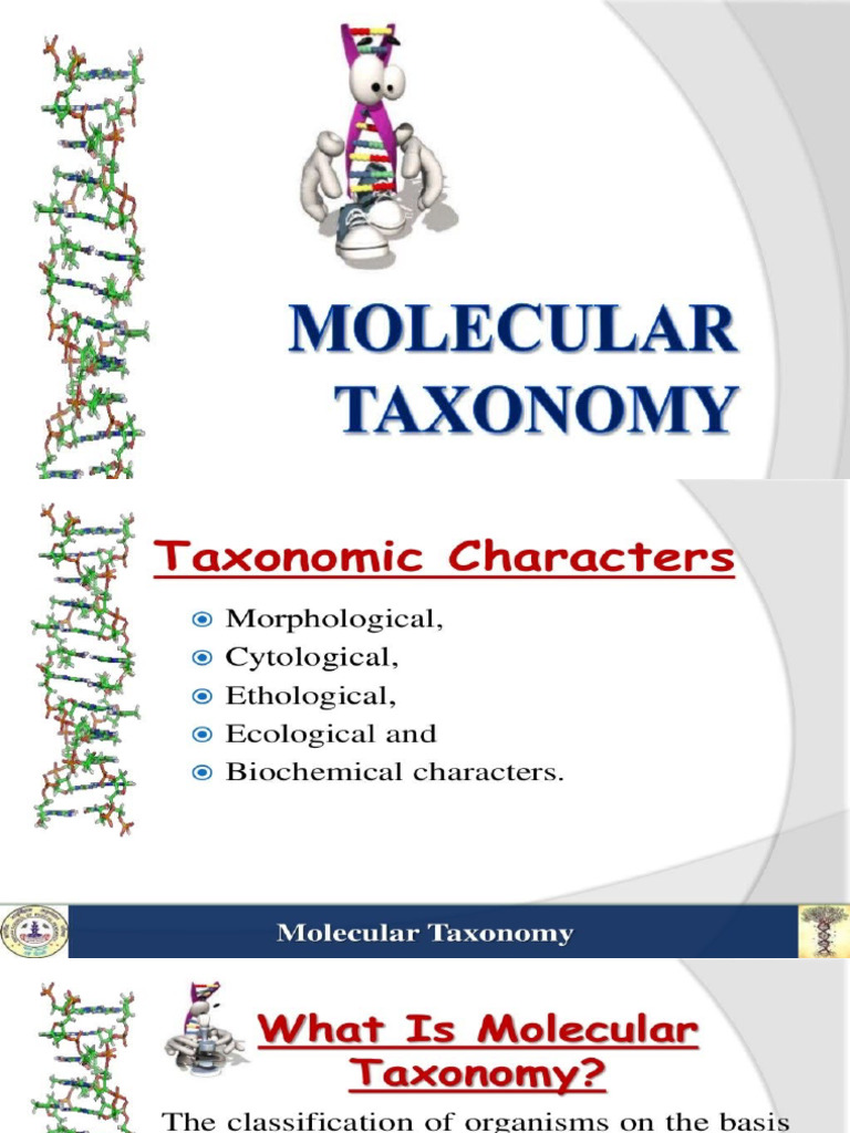 Molecular-Taxonomy | PDF