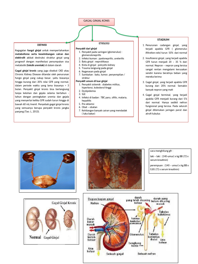 Map CKD | PDF