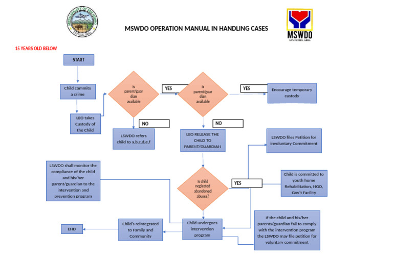 Mswdo Operation Manual in Handling Cases | PDF | Childhood | Family