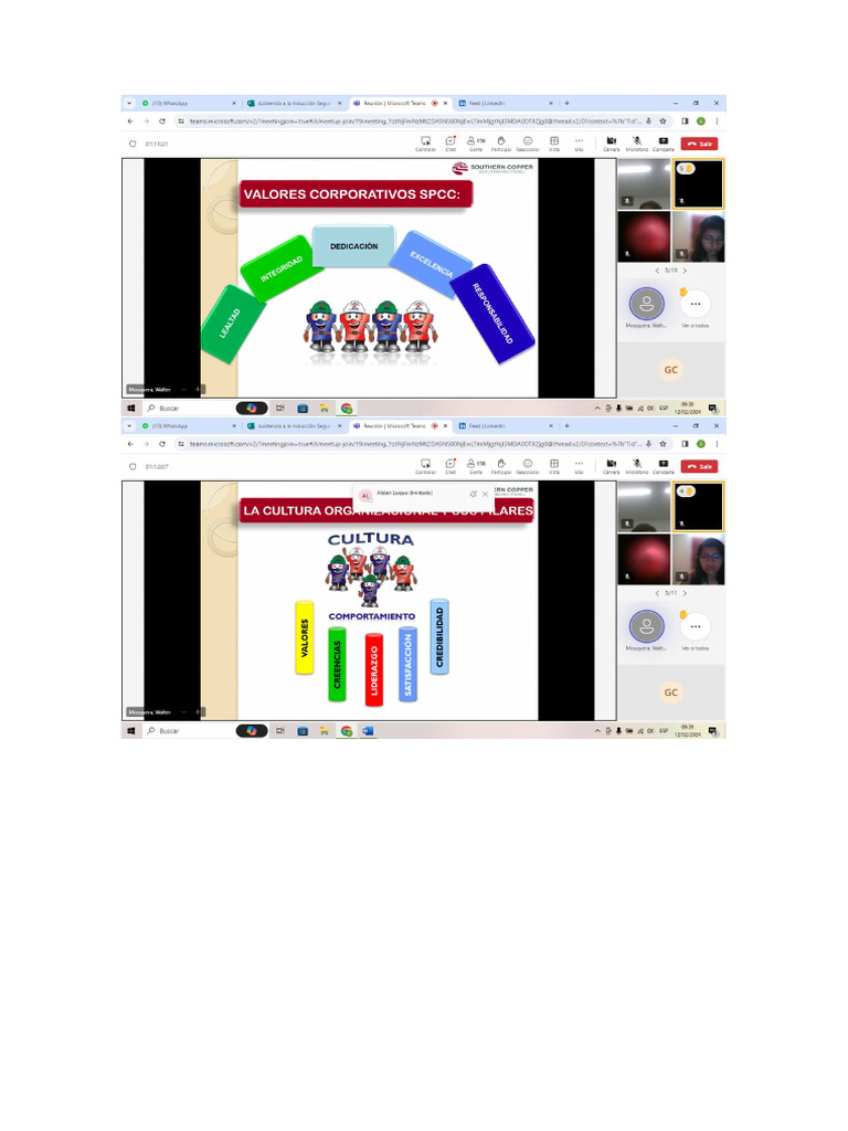 INDIUCCION SPCC | PDF