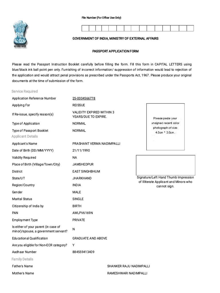 View - Print Submitted Form | PDF | Passport | Government And Personhood