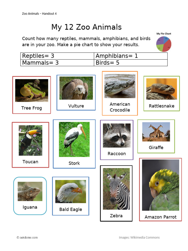 Zoo Animals Handout for Charting 04 Camilla McDonald | PDF