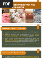 Introduction To Livestock and Poultry | PDF | Livestock | Cattle