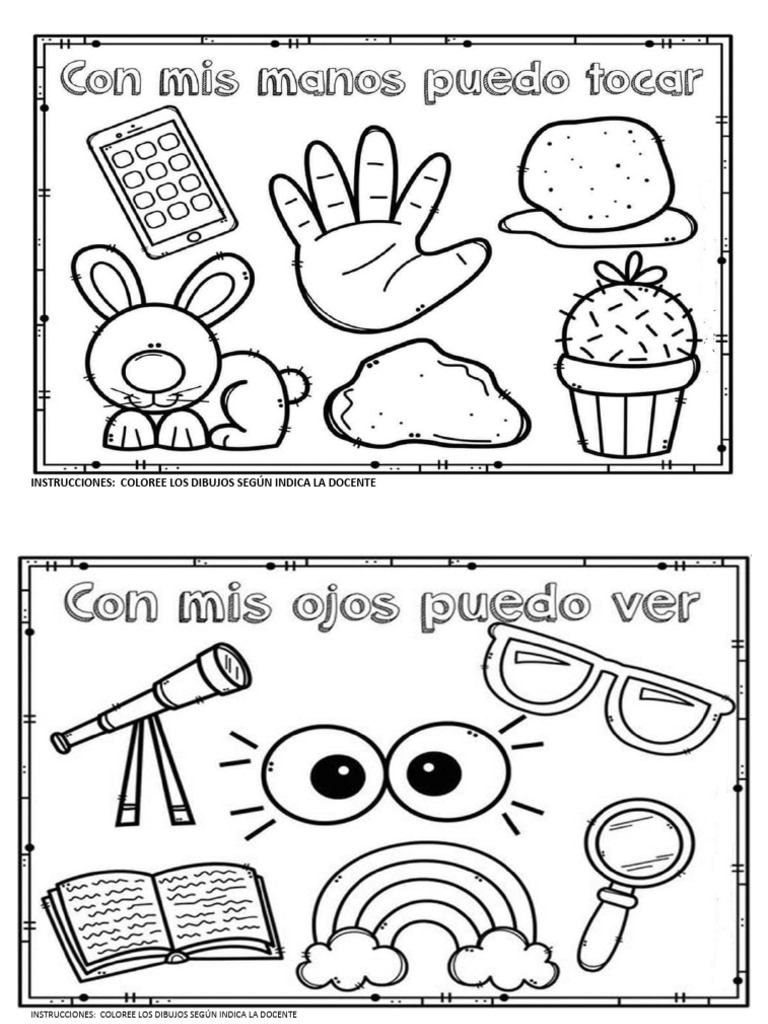 Actividades de Coloreo: Los 5 Sentidos | PDF