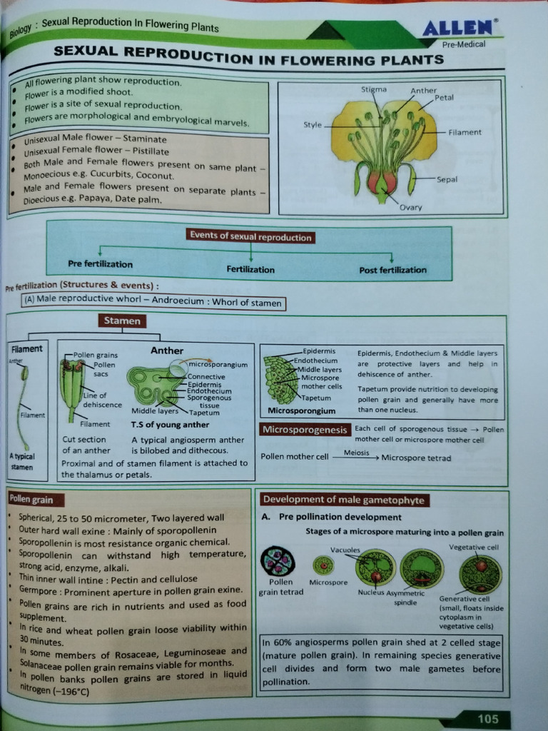 Allen Biology Ncert Fastrack - 2 | PDF