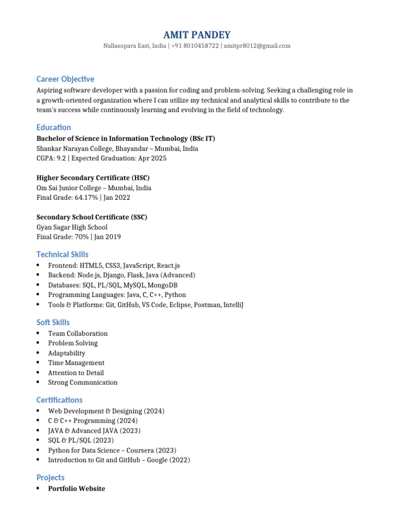 Amit_Pandey_CV_Professional_Template | PDF