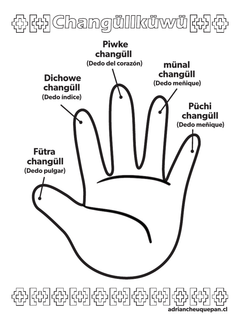 Dedos de La Mano en Mapudungun para Colorear | PDF