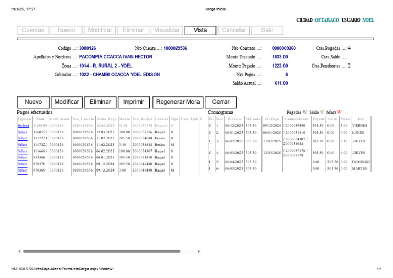 Carga Inicial Hector | PDF