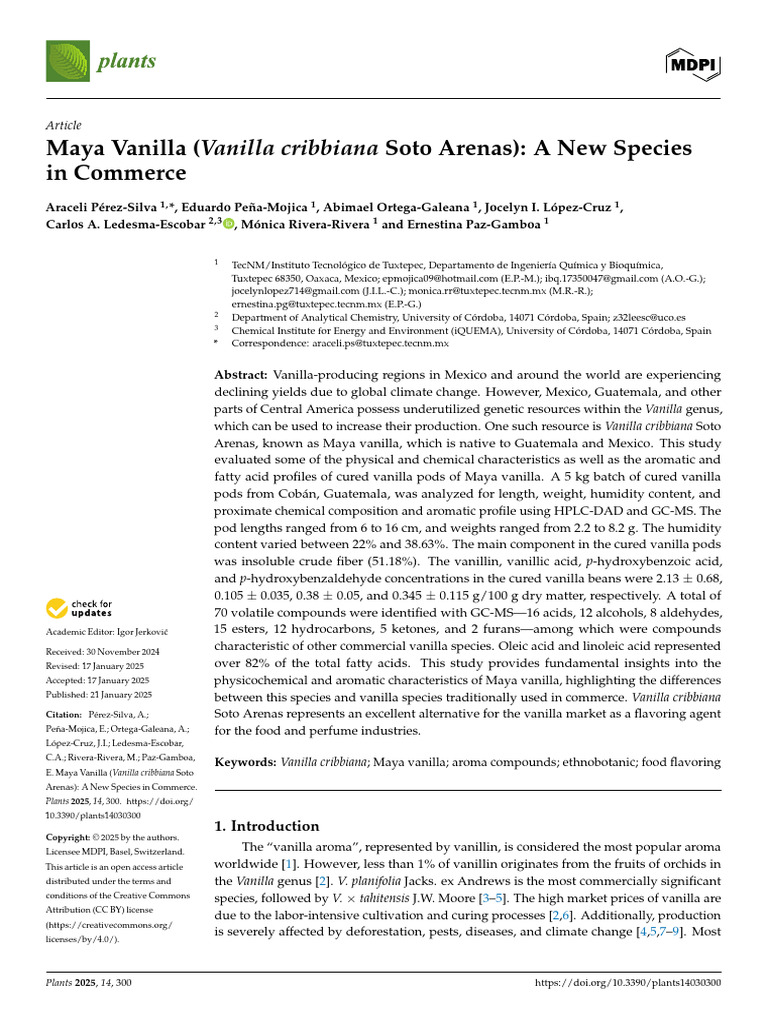 Maya Vanilla: A New Species in Commerce | PDF | Vanilla