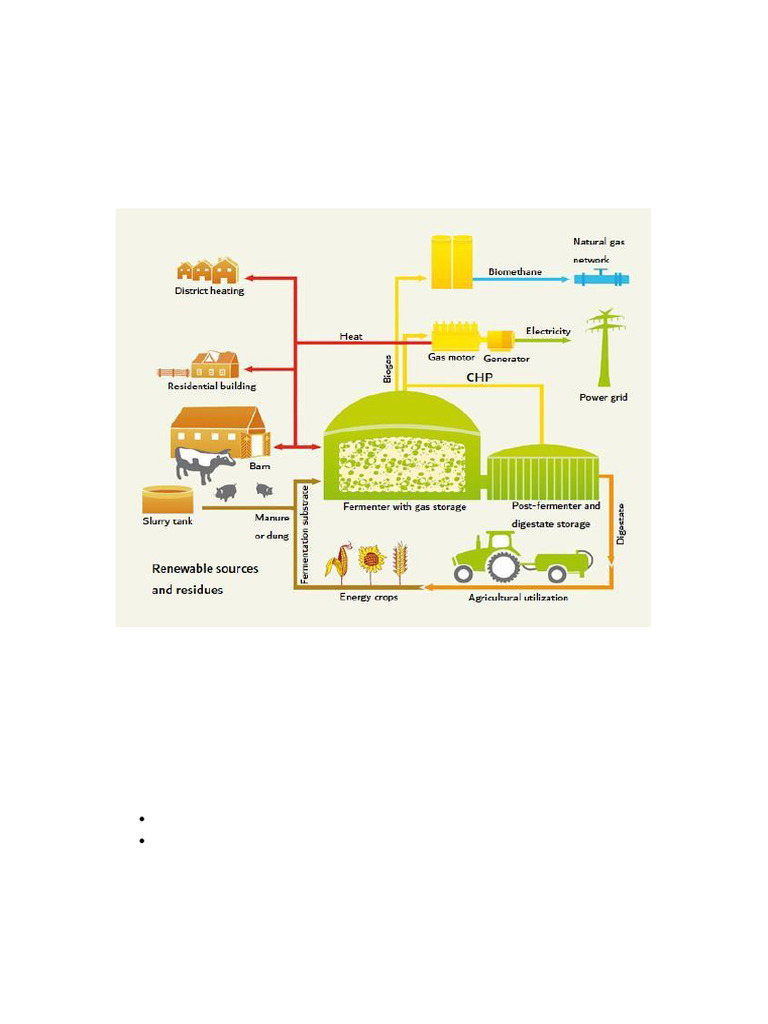 Biogas Plant Feeding System Overview | PDF | Anaerobic Digestion | Biofuel
