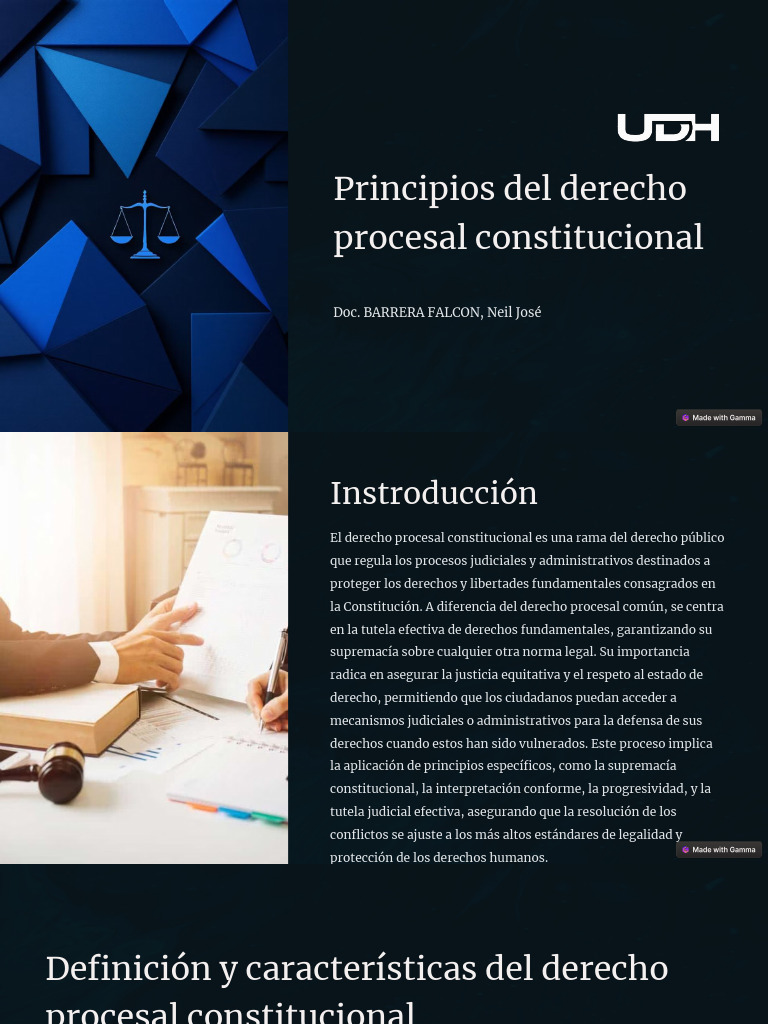 Principios Del Derecho Procesal Constitucional | PDF | Constitución | Ley procesal