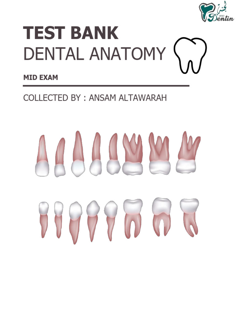 Dental Anatomy Mid Exam Test Bank | PDF | Dental Anatomy | Primate Anatomy