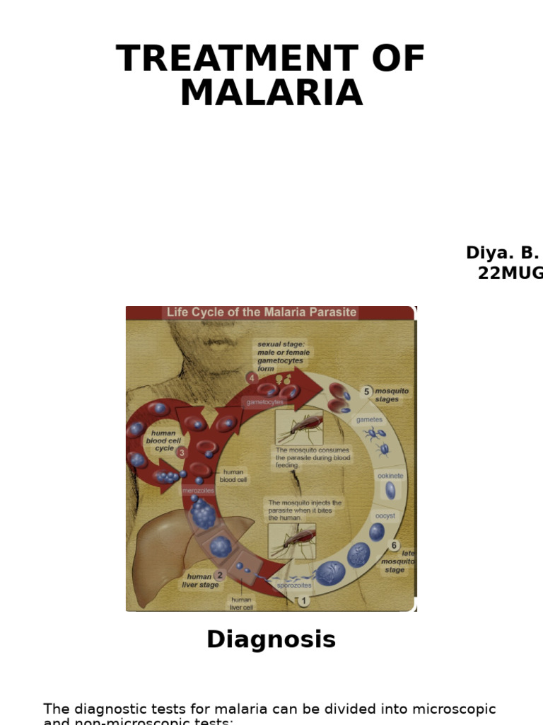 Presentation | PDF | Malaria | Plasmodium