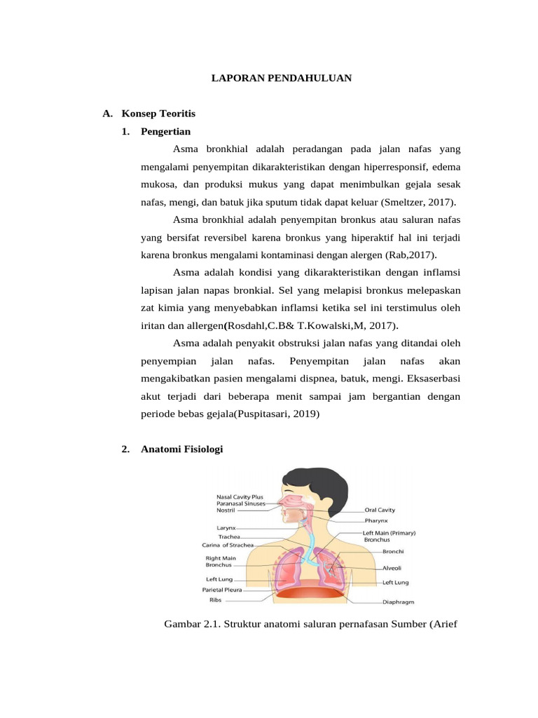 LP Asma Bronchial | PDF