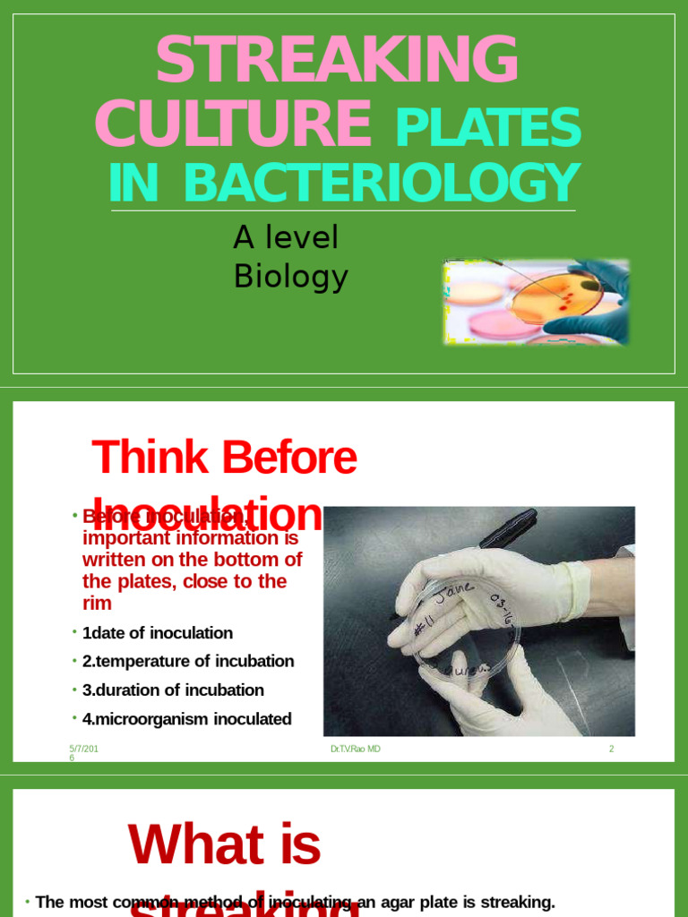 Inoculating A Culture Plate | PDF | Biology