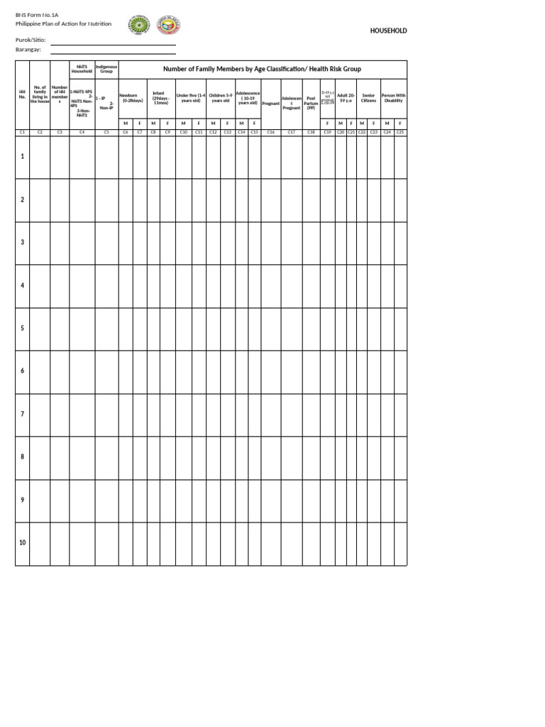 Household Profile 2025 | PDF | Family | Childhood