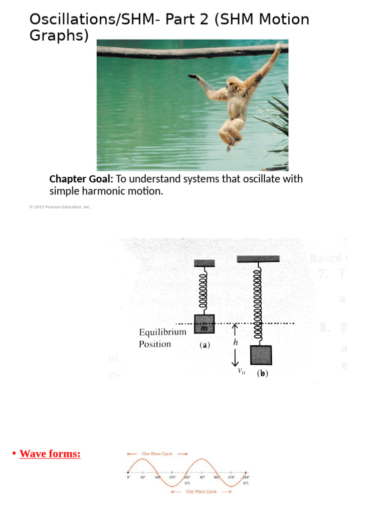 SHM Graphs | PDF | Oscillation | Acceleration