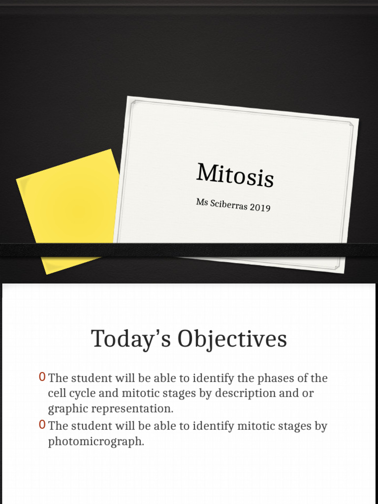 2 Mitosis | PDF