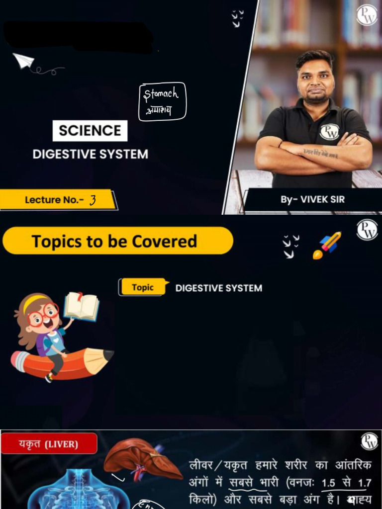 Digestive System 03 - Class Notes (Science) | PDF