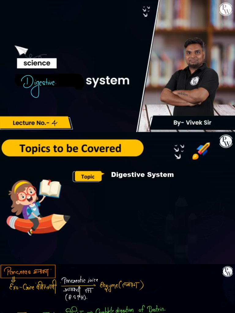Digestive System 04 - Class Notes (Science) | PDF