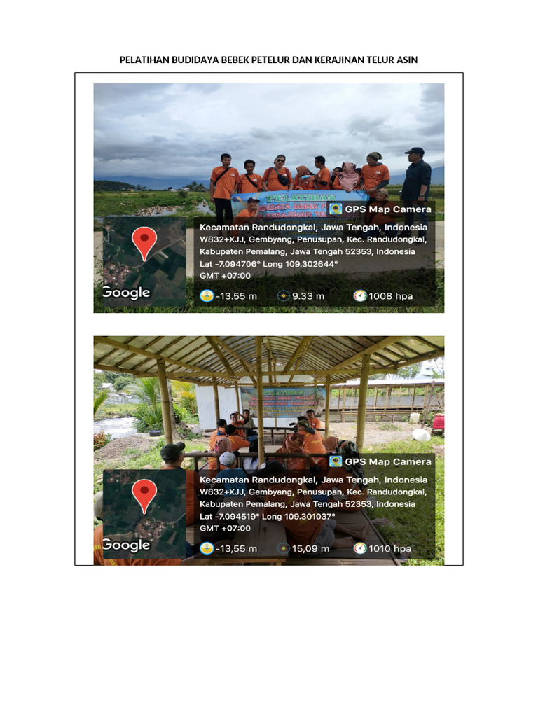 PELATIHAN BUDIDAYA BEBEK PETELUR DAN KERAJINAN TELUR ASIN | PDF
