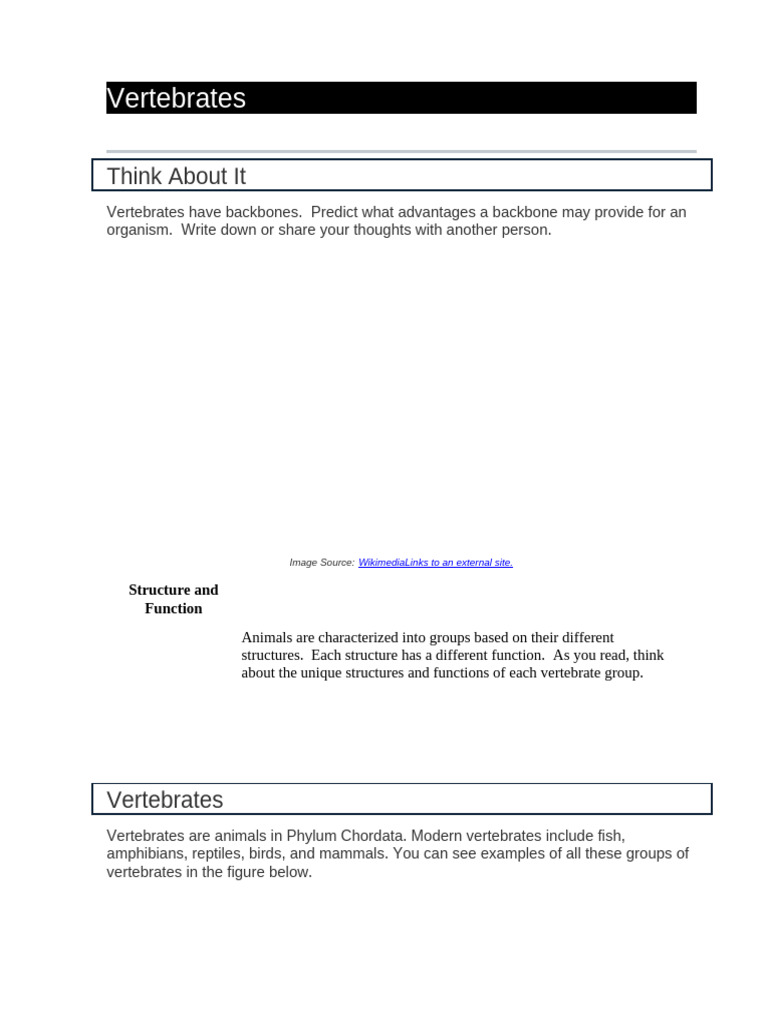Semester B Invertebrates | PDF | Vertebrates | Vertebral Column