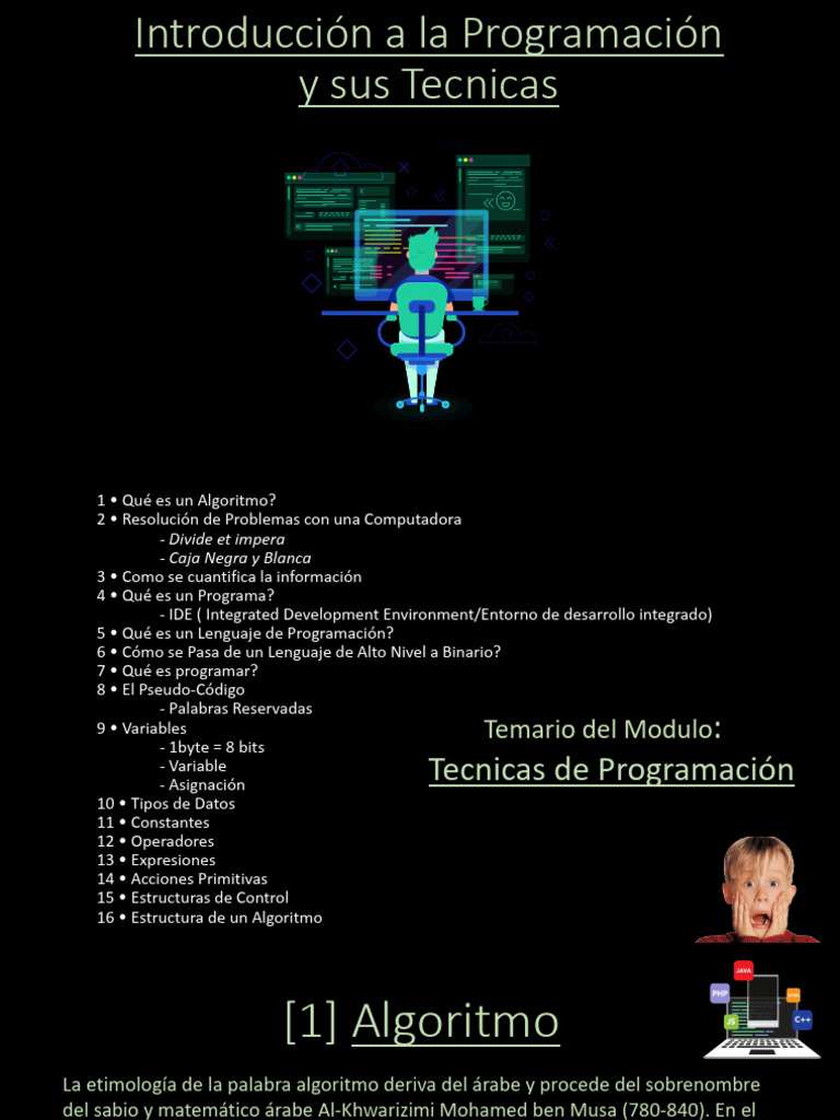 Introduccion A La Programacion | PDF | Lenguaje de programación | Programación