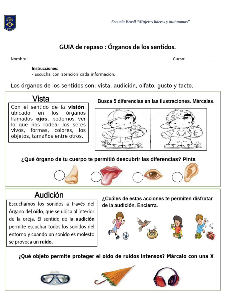 Órganos de los Sentidos: Guía Escolar | PDF | Gusto | Neurociencia