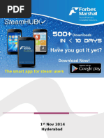 Steam Pyramid Analysis A Comprehensive Case Study | PDF