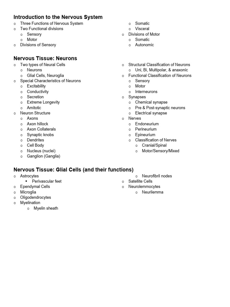 Intro To Nervous System | PDF