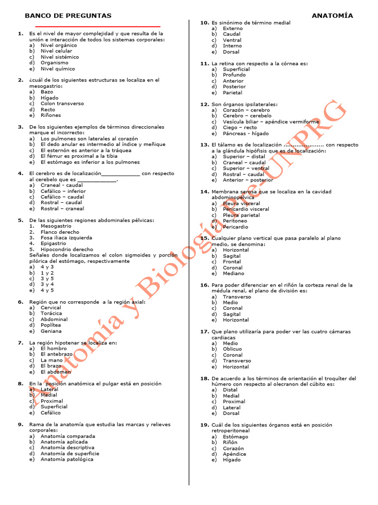 Banco-Anatomía-Sem. 1 | PDF | Abdomen | Anatomía