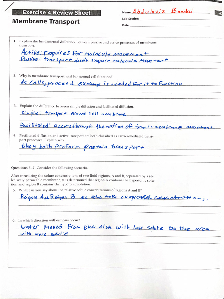 Membrane Transport Assignment | PDF